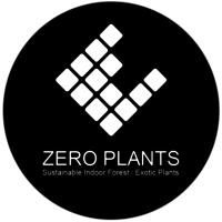 ZERO PLANTS / BLOG