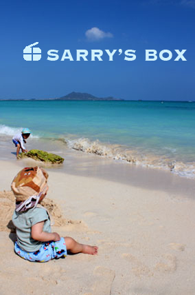sarry's box