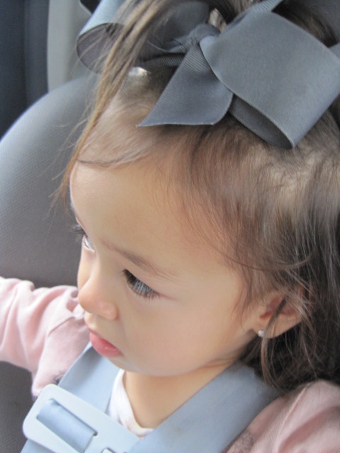 グレちゃんのお母さんになりました・2。