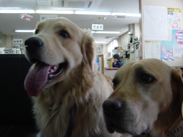 楽しかったね♪ : burnet hillのパートナーたち