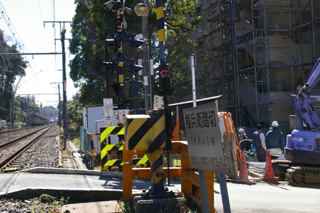 今年も咲いた旧小泉邸のハクモクレン（2006・3・20） : 北鎌倉湧水ネットワーク