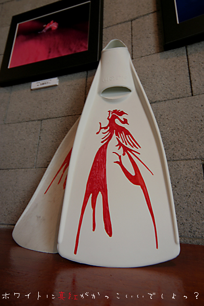 今年のダイビングシーンはフィンアートに大注目！ : BLOG -うみのいろはそらのいろ-