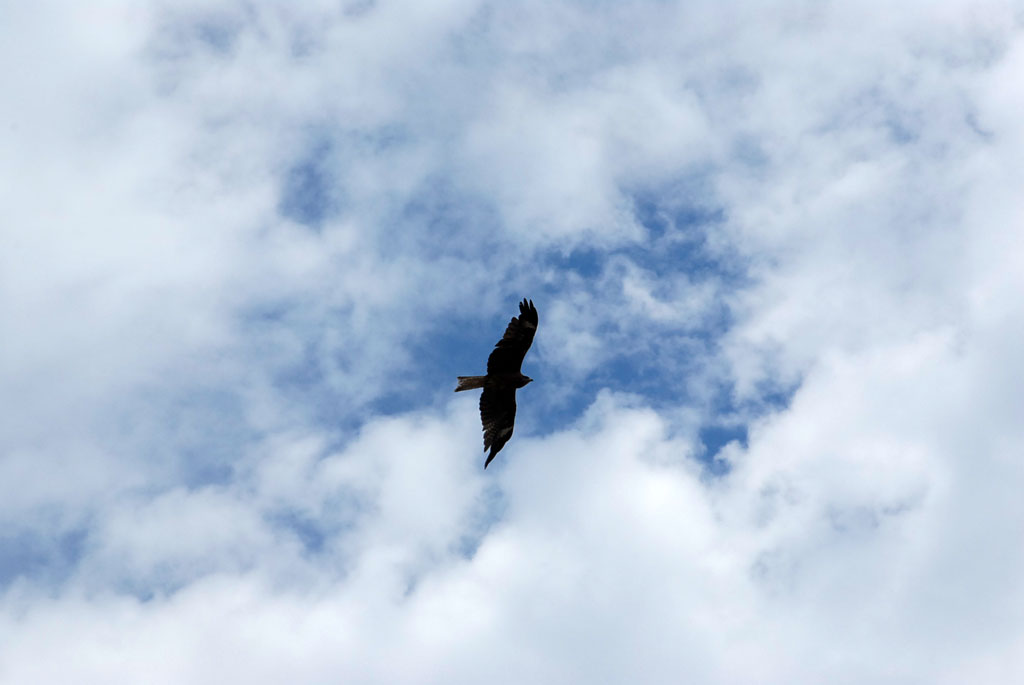 ★筑前大島にて 1 : 空 sora そら