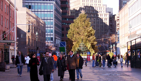 歌うクリスマス・ツリー ～ The Chorus Tree : ニューヨークの遊び方