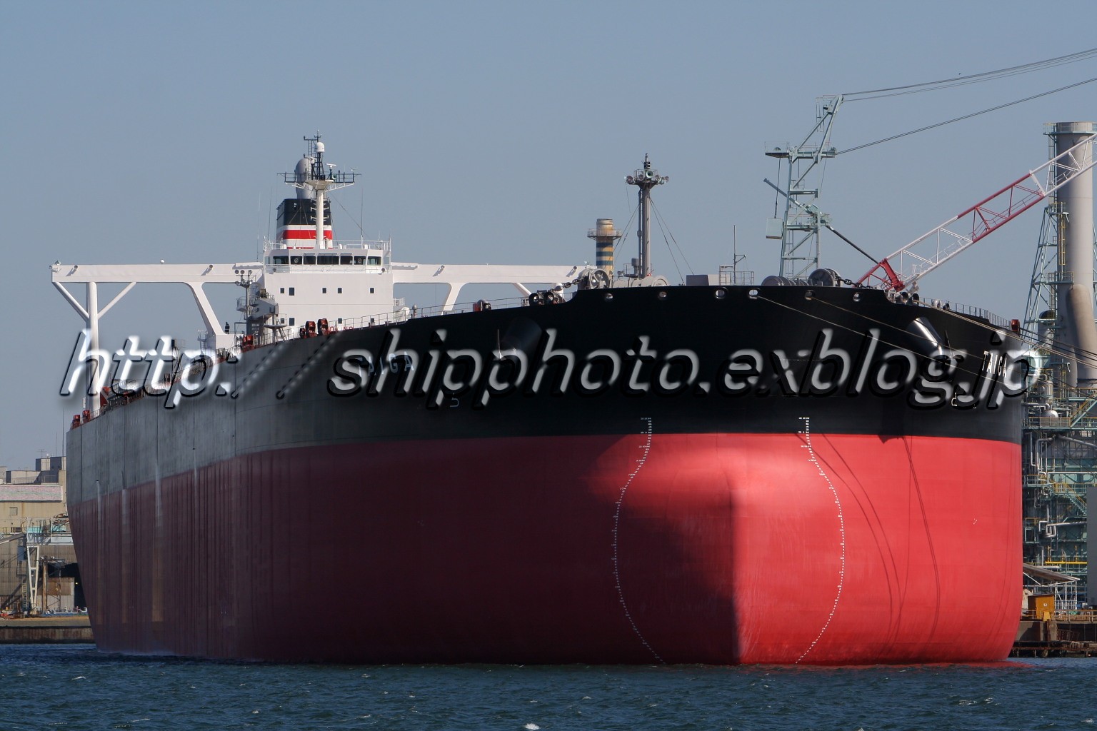 日本郵船 "TAIGA" : SHIP PHOTO