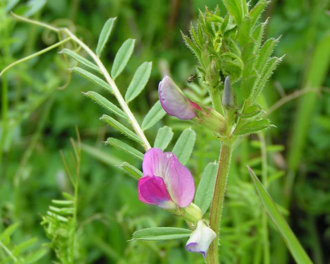 インターネット・カフェ＠佐賀市 : 呑むさん蝶日記