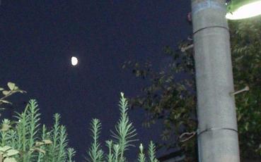 てやんで～！ などと若気の至り : Hey! Manbow