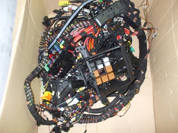 水没からの復活への道・・・・・その②（ハーネス到着！！） : 今日できることは明日に延ばして