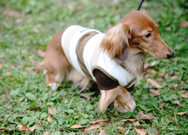 パーフェクトフィットブログ