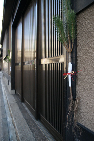 Meshka Japonishkai: gruodžio 2010