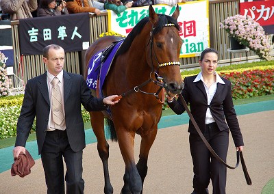 キャンディデート（07’ジャパンCダート15） : 愛しのサラブレッド写真館