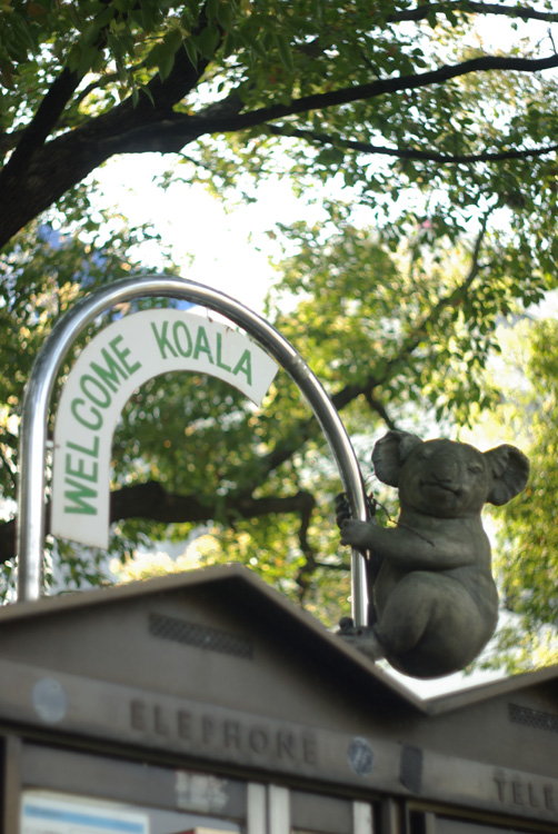 AUTO MIRANDA TM 50mm F1.8 : ぴーたんの美味しい毎日 -As Time Goes By-