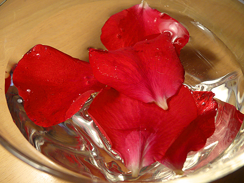 静岡ろうきんのミニコミ誌 : irei blog