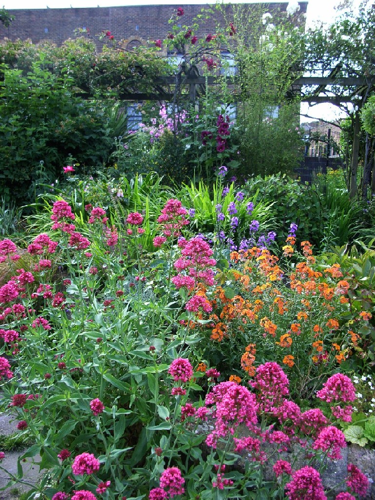 Culpeper Community Garden カルパー・コミュニティー・ガーデン : HAPPY♪ London Life