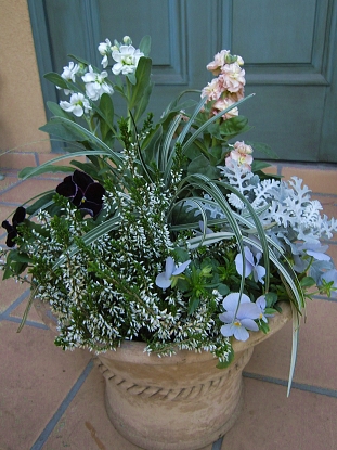 寄せ植え注文・植え込み(その1) : ほんの小さな庭 寄せ植え注文・植え込み(その1) : ほんの小さな庭