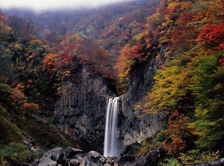 久々645 : 花景色－K.W.C. PhotoBlog