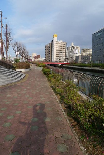 和菓子探索ポタリング～堺ポタ番外編～ : 40代どこまでやるの？