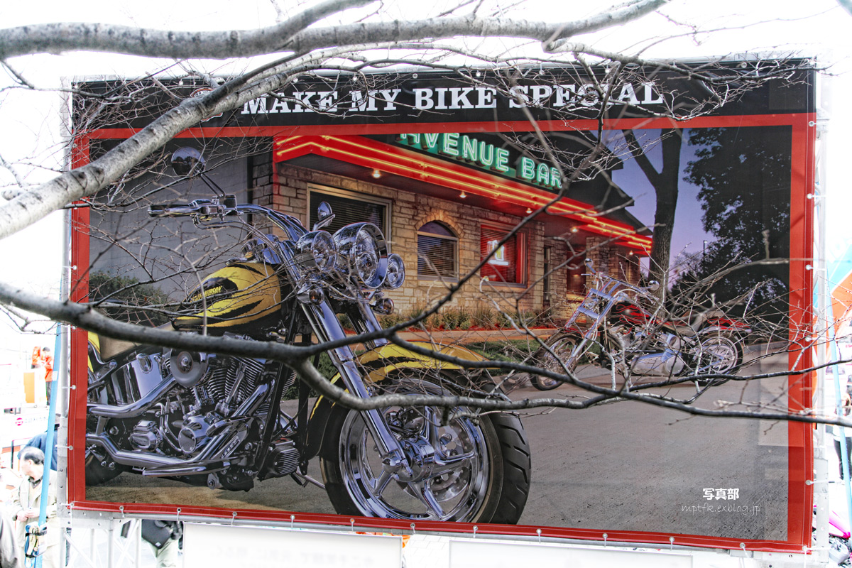 大阪モーターサイクルショー2009 6 : 写真部