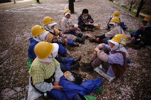 2009 SAKURA 日記 4月17日 : おれのほそ道