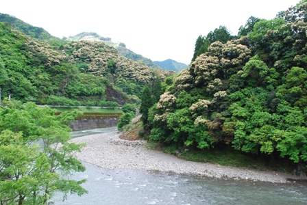 やっと行けた！西米良村 : KANAり気まま・・・