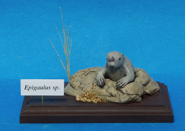 藤森英二「エピガウルス」 : Tokugawa-Fujimori 古生物模型展示室