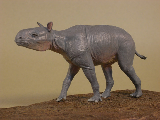 徳川広和「アミノドン」 : Tokugawa-Fujimori 古生物模型展示室