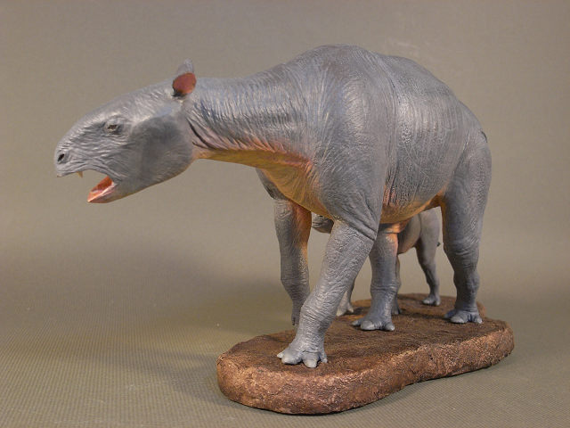 徳川広和「アミノドン」 : Tokugawa-Fujimori 古生物模型展示室