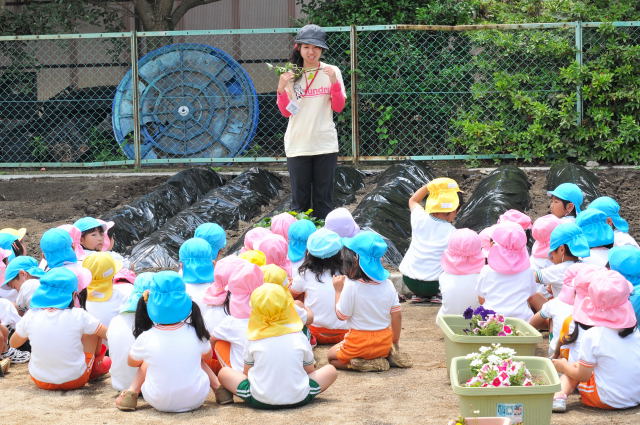 イモといえば…？ : 白秋の黄昏