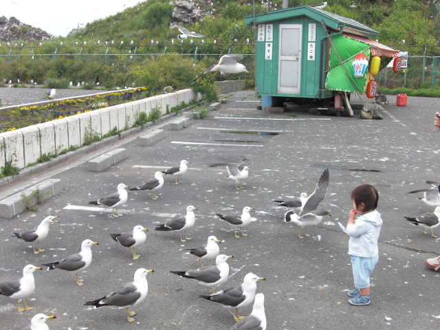 父の日につき : とまとまにっき