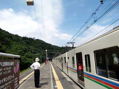 日向山ハイキング : ブナの林が好き！