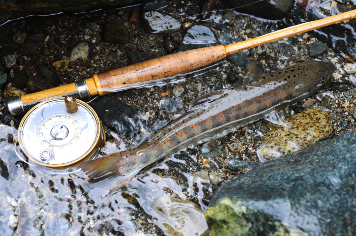 The Bamboo Rod / H.L.Leonard Catskill 38-4 2P : Spey Bum The Bamboo Rod / H.L.Leonard Catskill 38-4 2P : Spey Bum