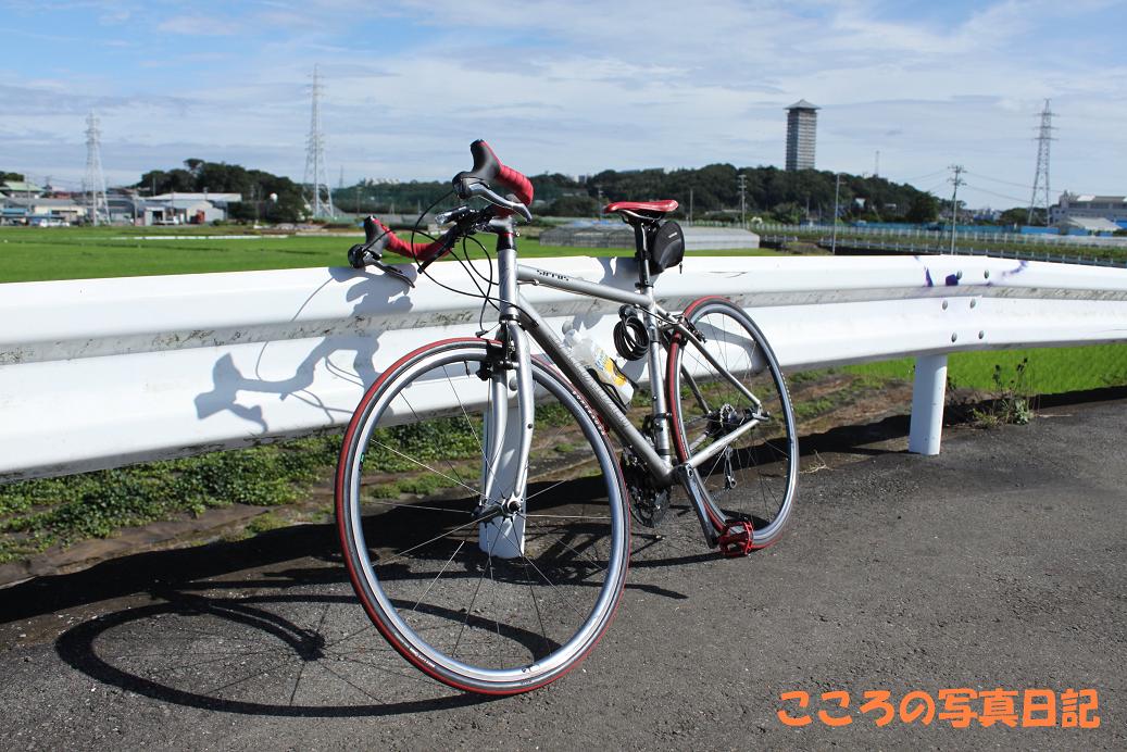 ☆初登場☆ : こころの写真日記