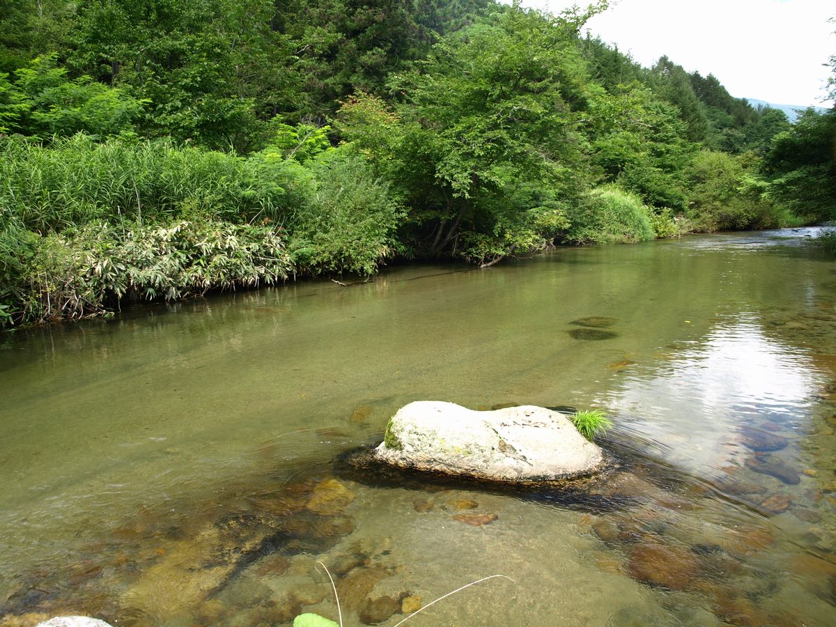 夏の残光、未知の川への旅。（2） : STREAM TRAVELER