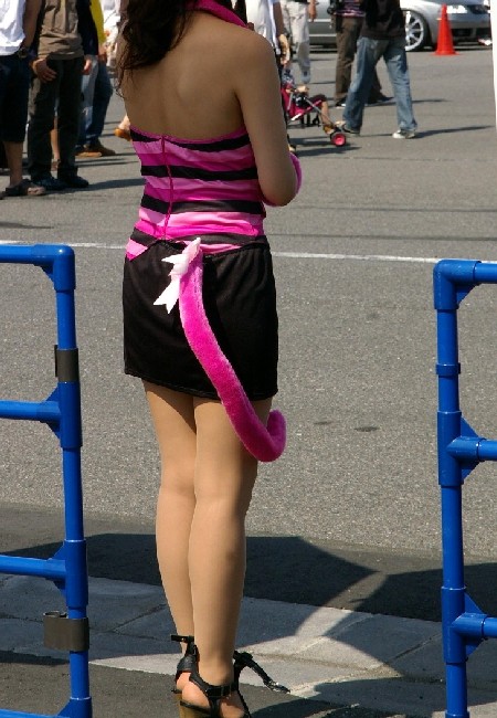 6/21～22 SIS2009 : せりかパパのボルボな休日