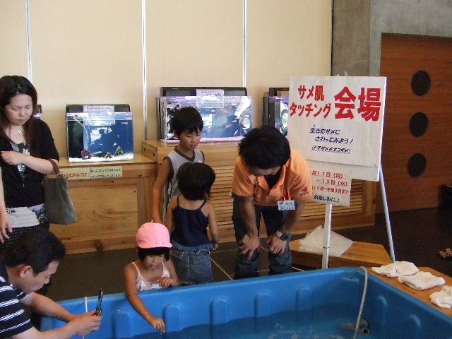 超穴場スポット かにっこ館 : COSILOG（こじろぐ）