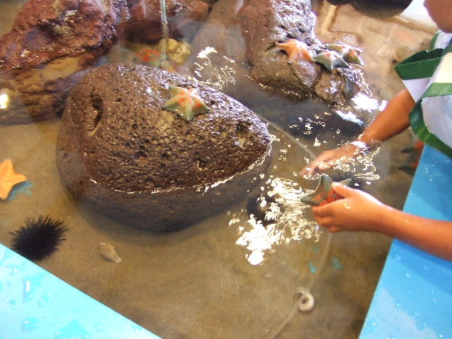 超穴場スポット かにっこ館 : COSILOG（こじろぐ）