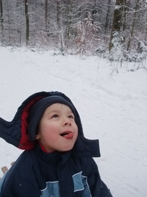 雪遊び : ドイツでお茶です
