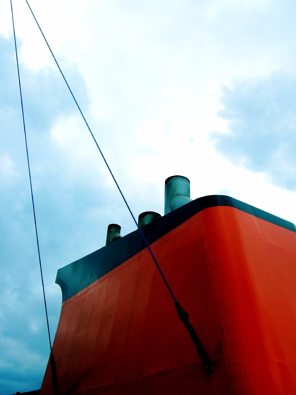 ジン(Vo.ひぃたん)「亀歩き」