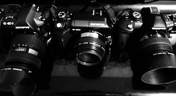 フォーサーズの未来 : 模糊の旅人