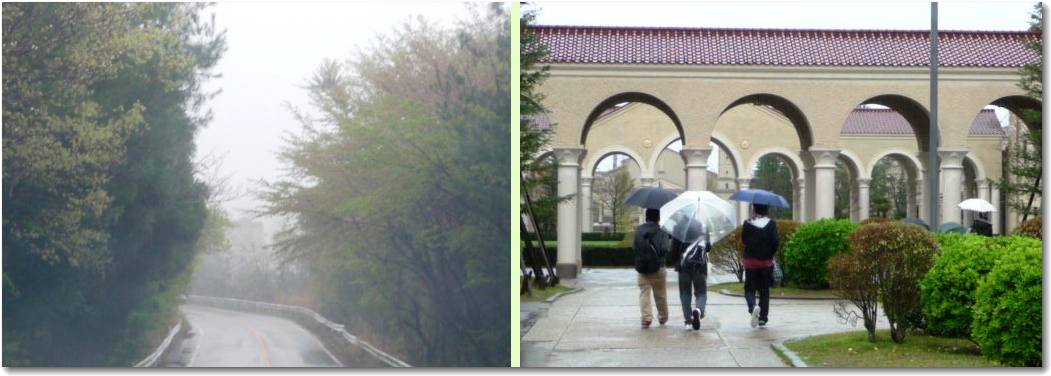 雨のキャンパス : デジの目