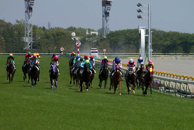 Tokyo Race Course : TAKAFUMI PHOTOLOG