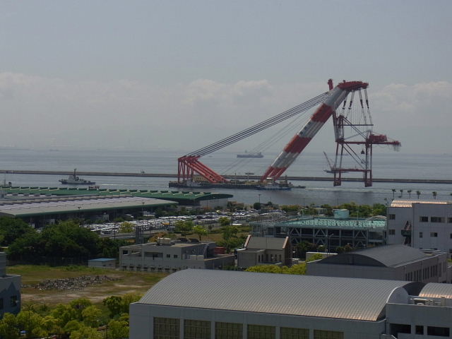 キリンさん、お引っ越し!! : 風に吹かれて