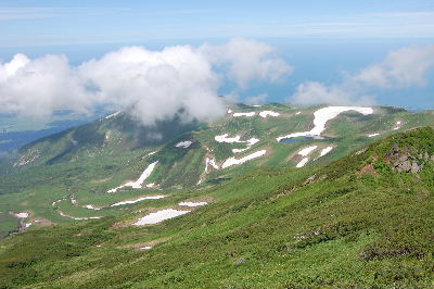 ｢鳥海山｣①は百花繚乱！「チョウカイフスマ」に初対面です！ : ヤッホー！今日はどちらへ？