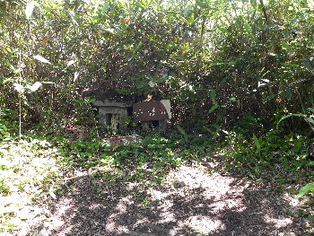 弥勒新道から「高妻山」へ！戸隠山とのコラボでお届け・・ : ヤッホー！今日はどちらへ？