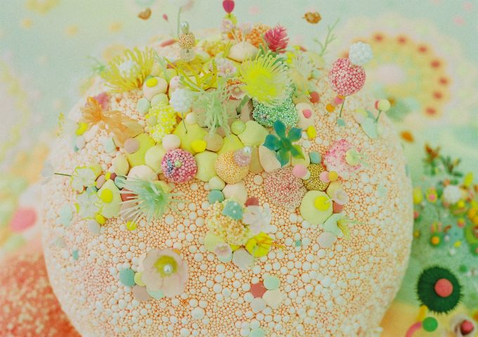 pip & pop : pimboke6