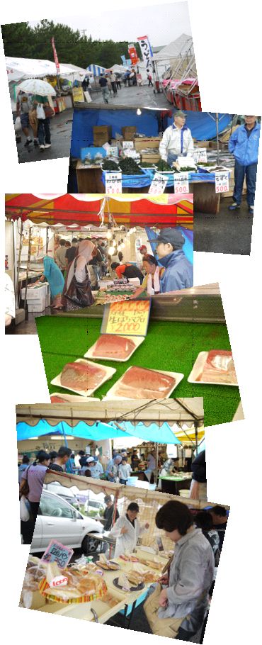 海にも恵まれた宮城 : 建築工房 sora