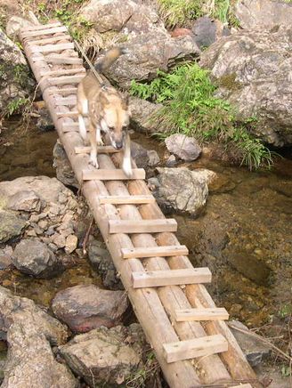 京北十景 吊り橋と滝編 : Quiet Storm