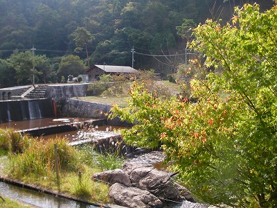10/23・24 なごみの湖 : すいすいストリーマー
