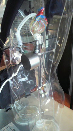 テルモプラネックス : そらまめがゆく