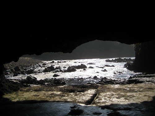 能登金剛・千里浜なぎさドライブウェイ : yukoの花散歩